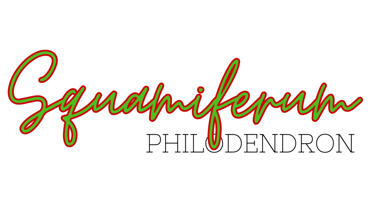 Squamiferum Philodendron